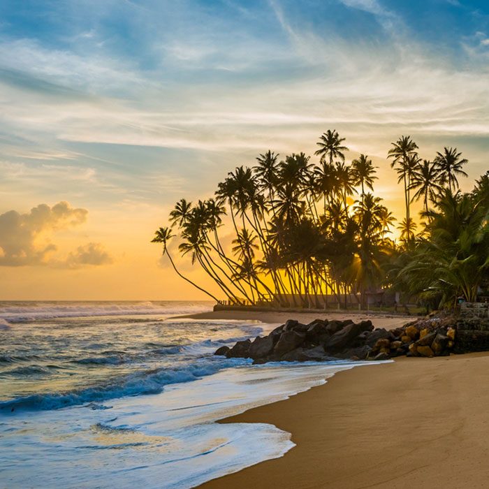 05 Days Tour | The Ceylon Experience